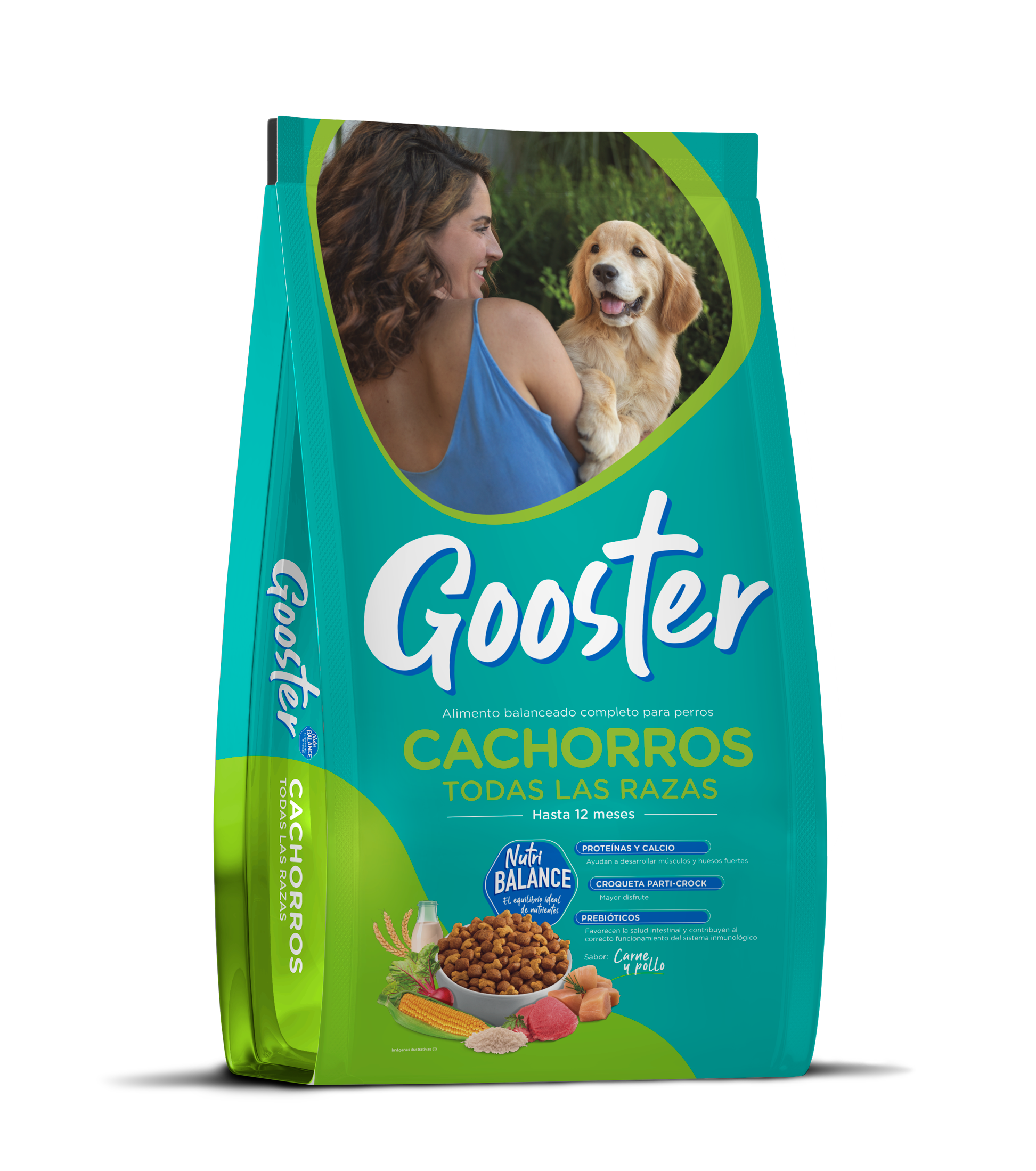 Rebranding Gooster – Martín Bianchi
